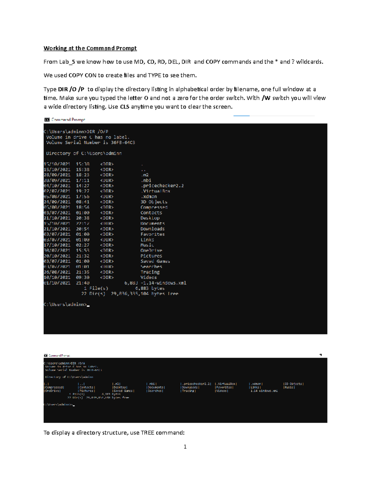Lab - Lab 1 assignment solution - Working at the Command Prompt From ...