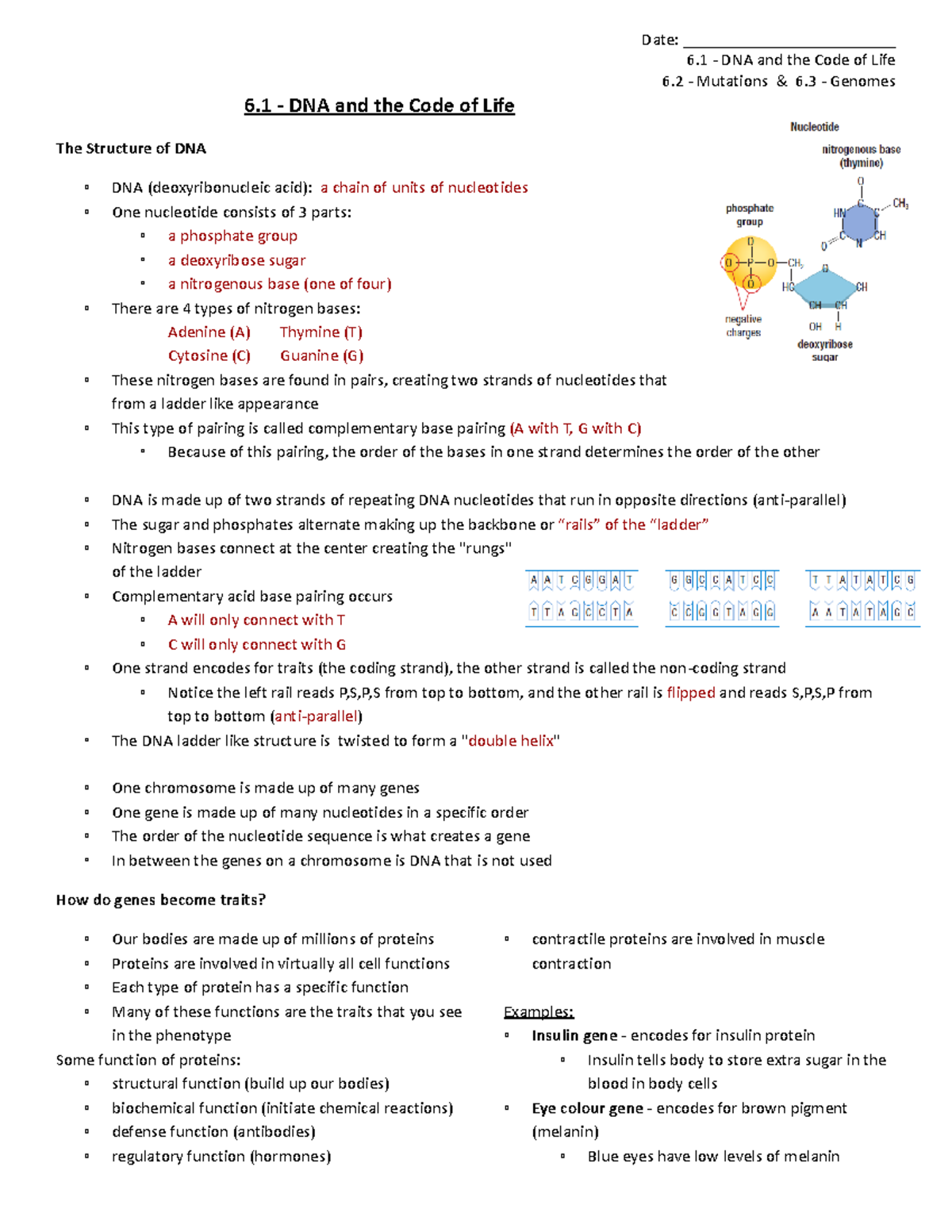 6.1 Meeriya - DNA and the Code of Life 6.2 - Mutations 6.3 - Genomes ...
