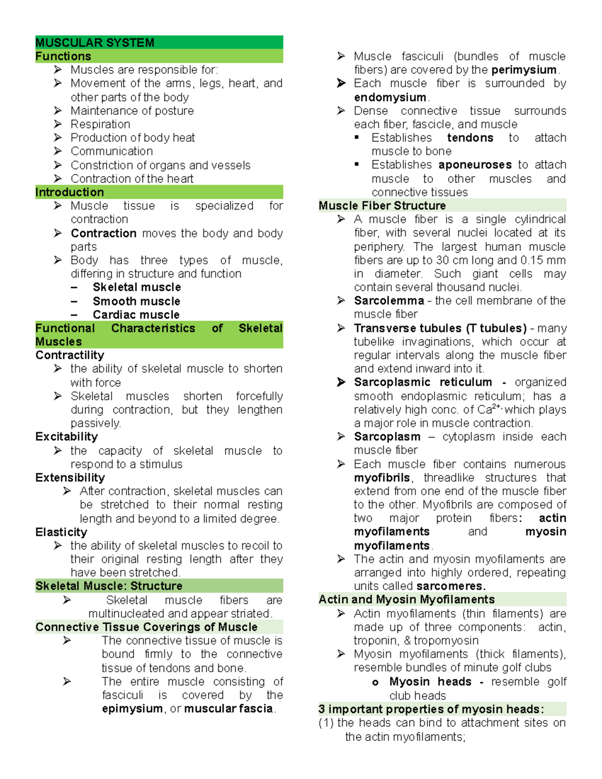 Anaphy Chapter 7 Muscular System - MUSCULAR SYSTEM Functions Muscles ...