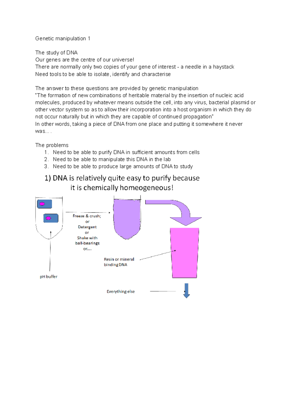 genetic maniulation 1 - Genetic manipulation 1 The study of DNA Our ...