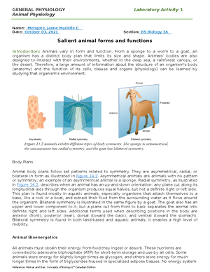Epithelium tissue Laboratory Activity - Animal Physiology CENTRAL ...