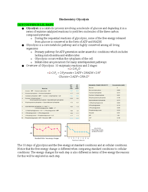 11. Biochemistry PPP - istry Gluconeogenesis - Biochemistry pentose ...