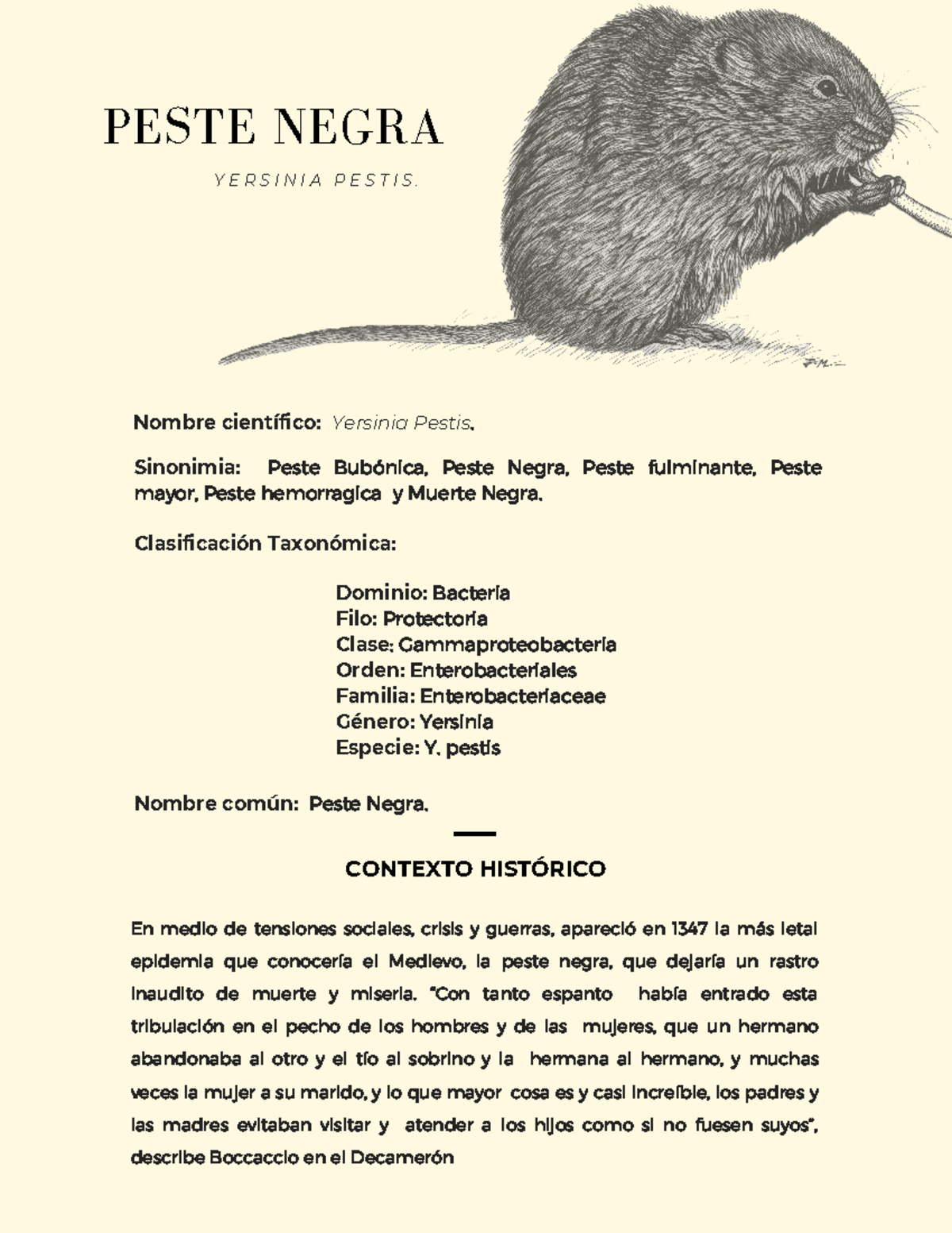 Peste Negra - PESTE NEGRA CONTEXTO HISTÓRICO Y E R S I N I A P E S T I ...