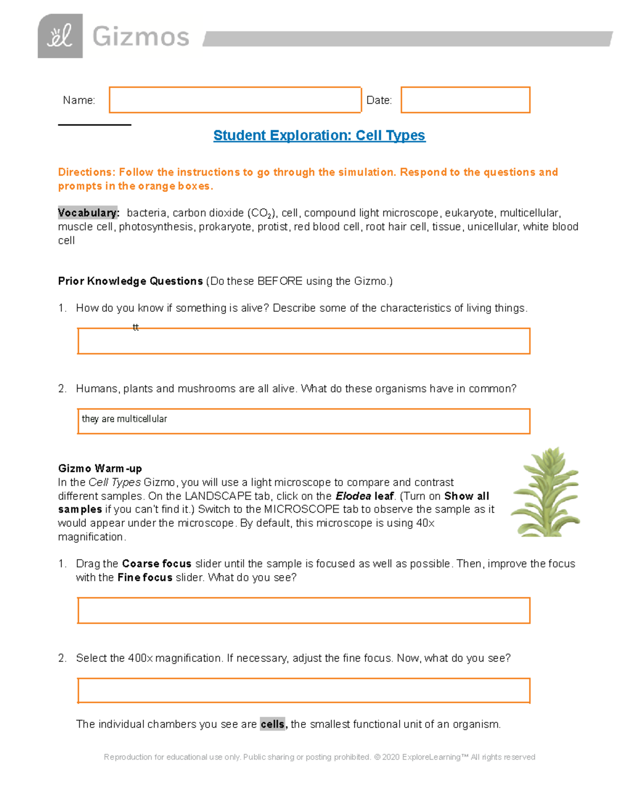 Michael Edwards - Gizmo Cell Types SE - Name: Date: Student Exploration ...
