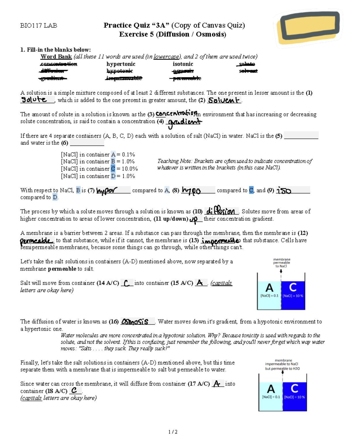 Lab Quiz 3A Anatomy and physiology - 1 / 2 BIO117 LAB Practice Quiz ³3A ...