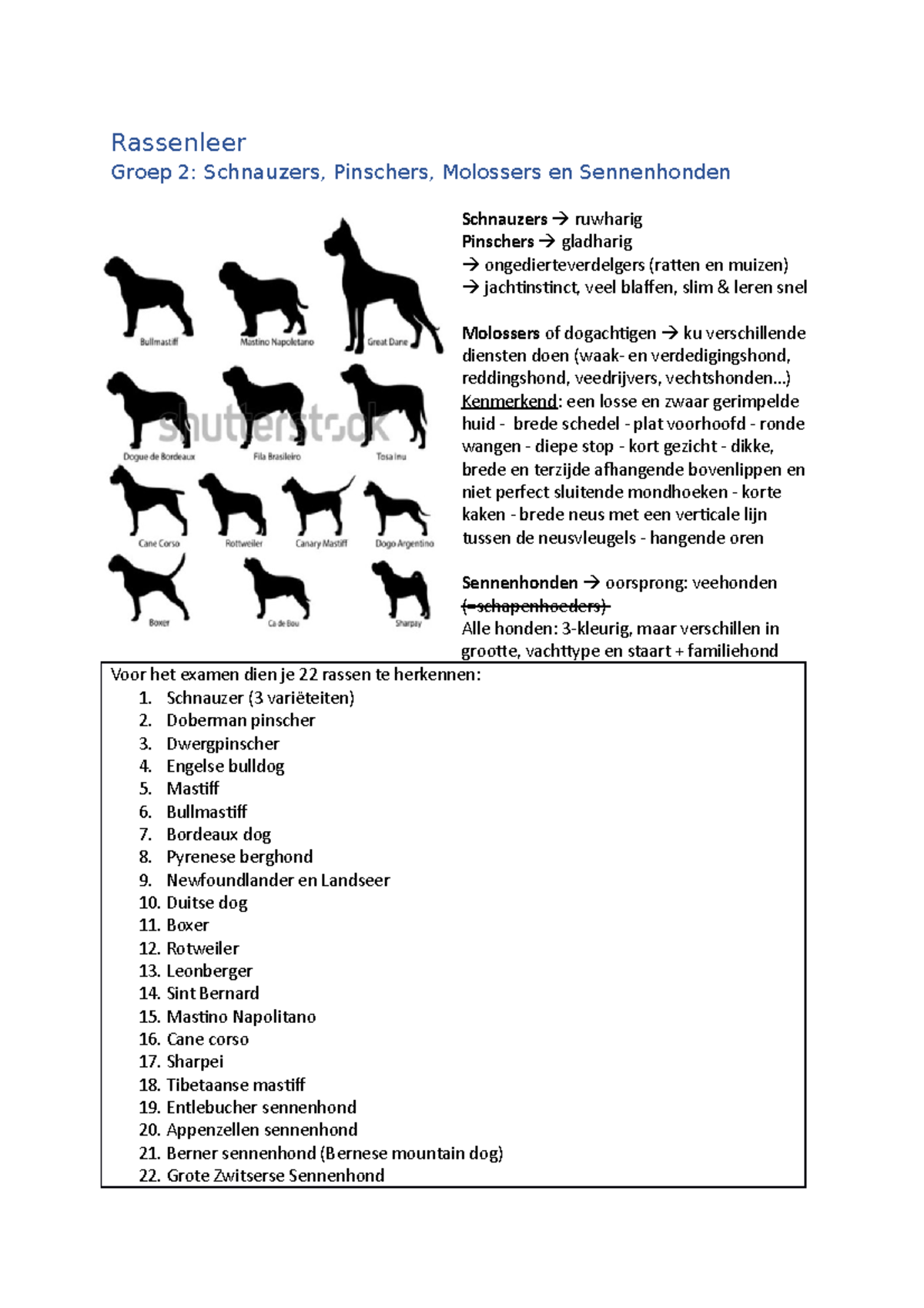Rassenleer G2 - Groep 2 hond - Rassenleer Groep 2: Schnauzers ...