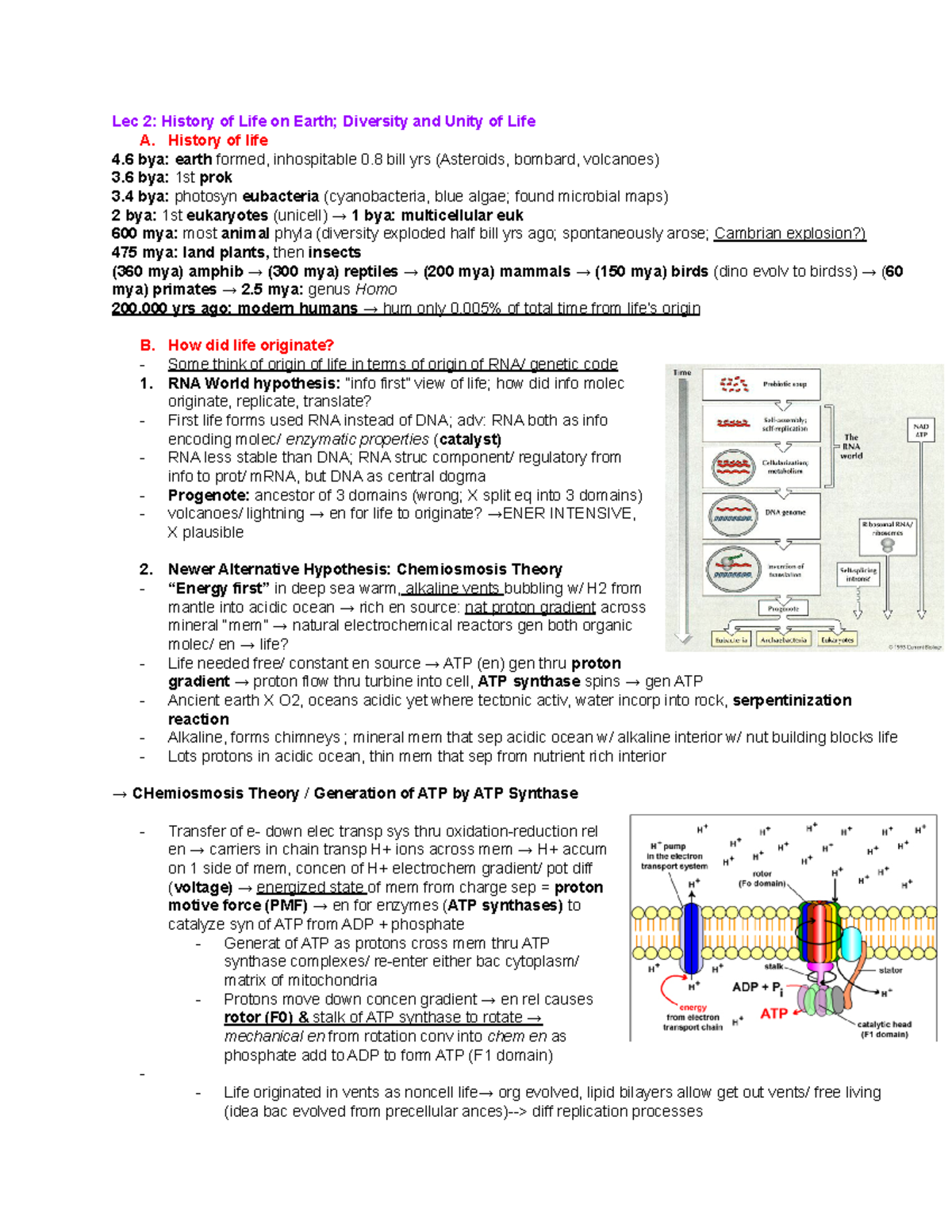 BIO 202 Lec 2 History of Life on Earth - Lec 2: History of Life on ...