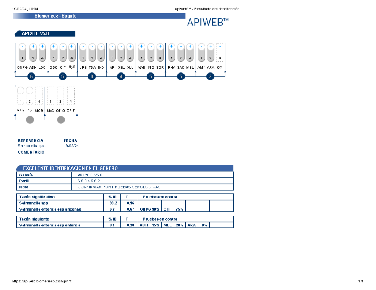 API Salmonella - 19 / 02 /24, 10:04 apiweb™ - Resultado de ...