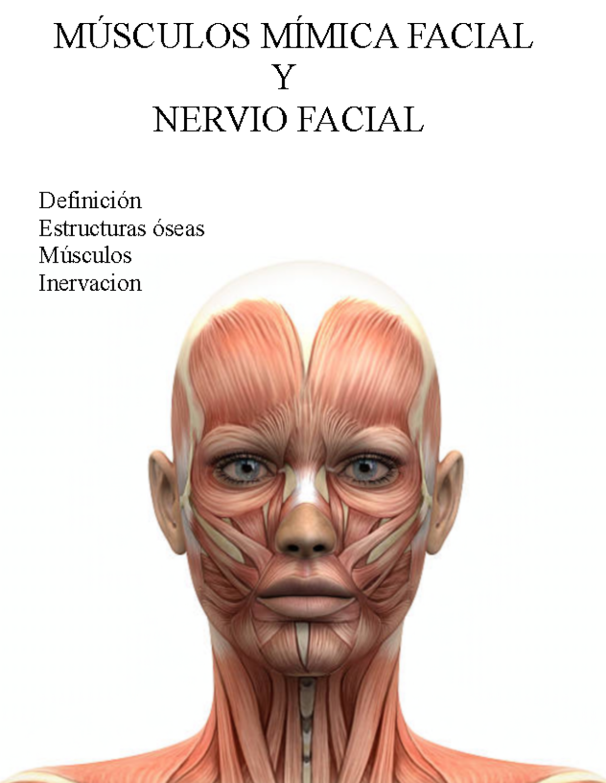Mimica facial - estudiar - MÚSCULOS MÍMICA FACIAL Y NERVIO FACIAL Definición Estructuras óseas ...