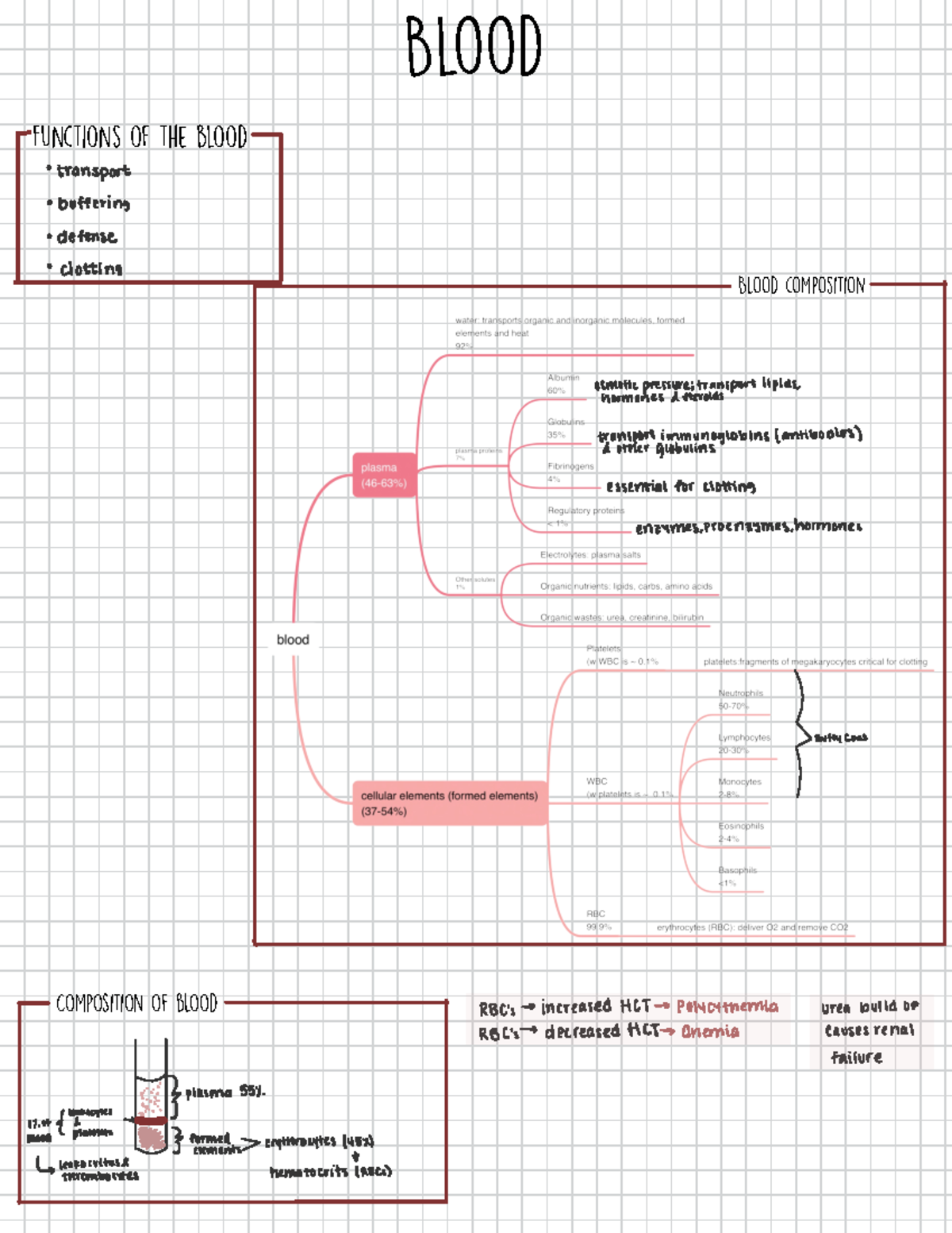 Blood - butter labsorb heat) -> Plasma Proteins : ↑ Albumins : too ...