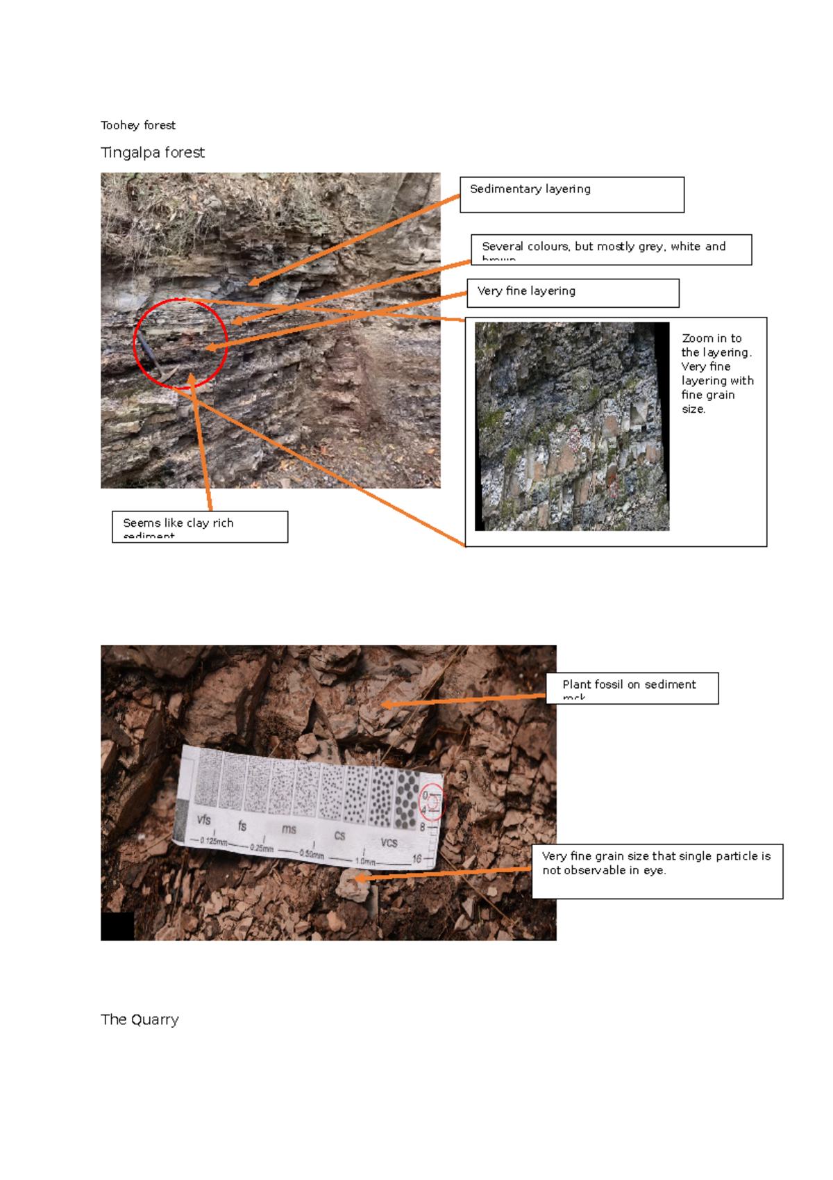 Field report labels - Toohey forest Tingalpa forest The Quarry Several ...