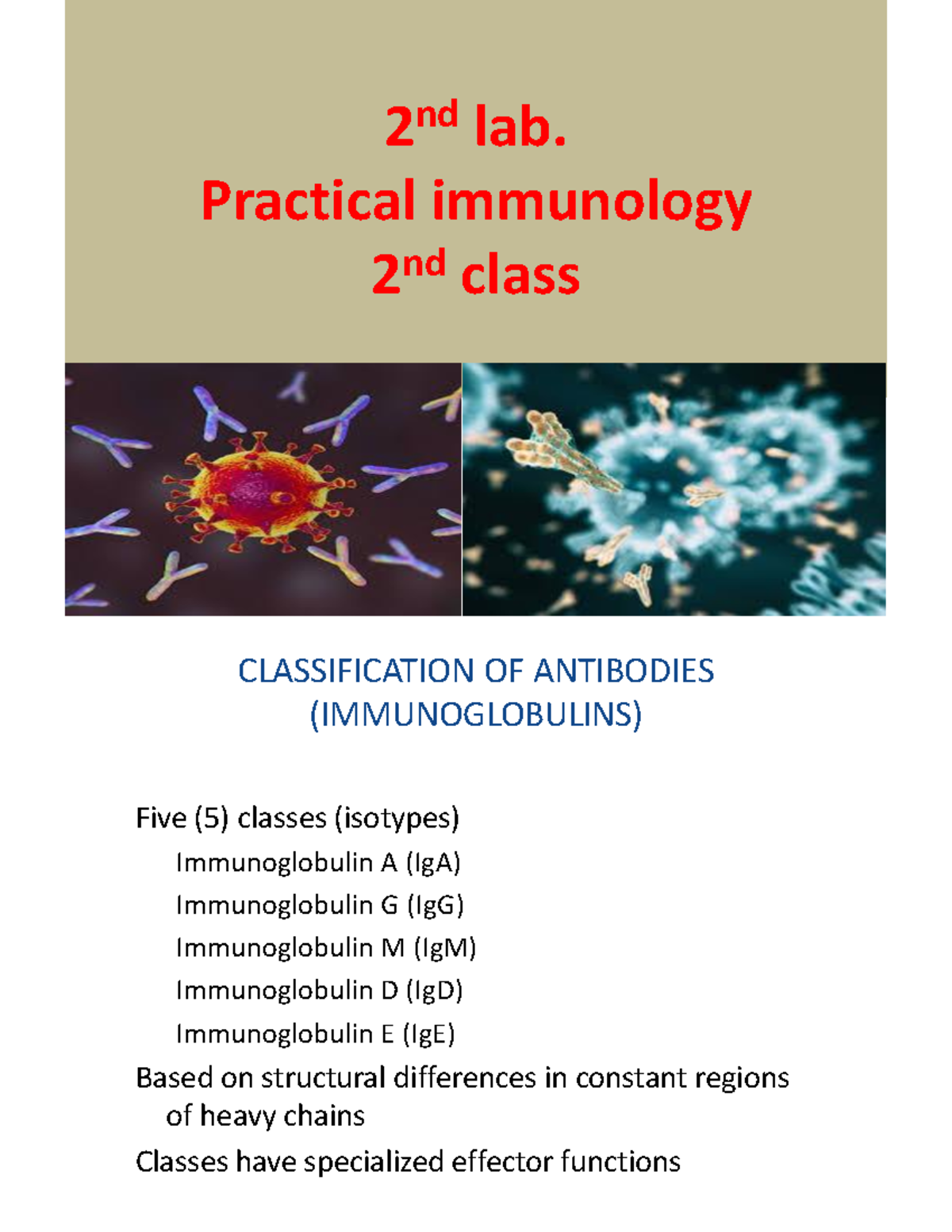 Practical immunology 2 nd class - 2 nd lab. Practical immunology 2 nd ...
