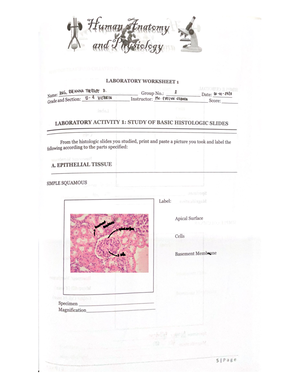 Protein Post-Lab - Qualitative Test for Proteins Test tube ...