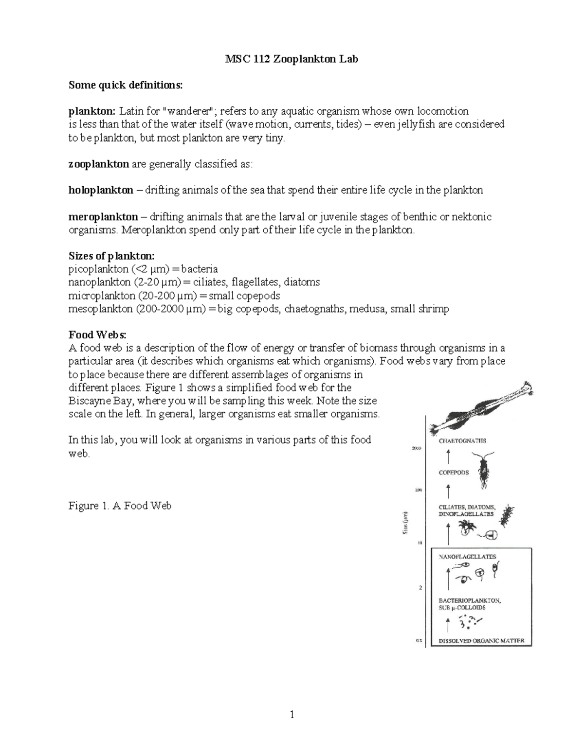 Lab 07 Zooplankton 2022 - MSC 112 Zooplankton Lab Some quick ...
