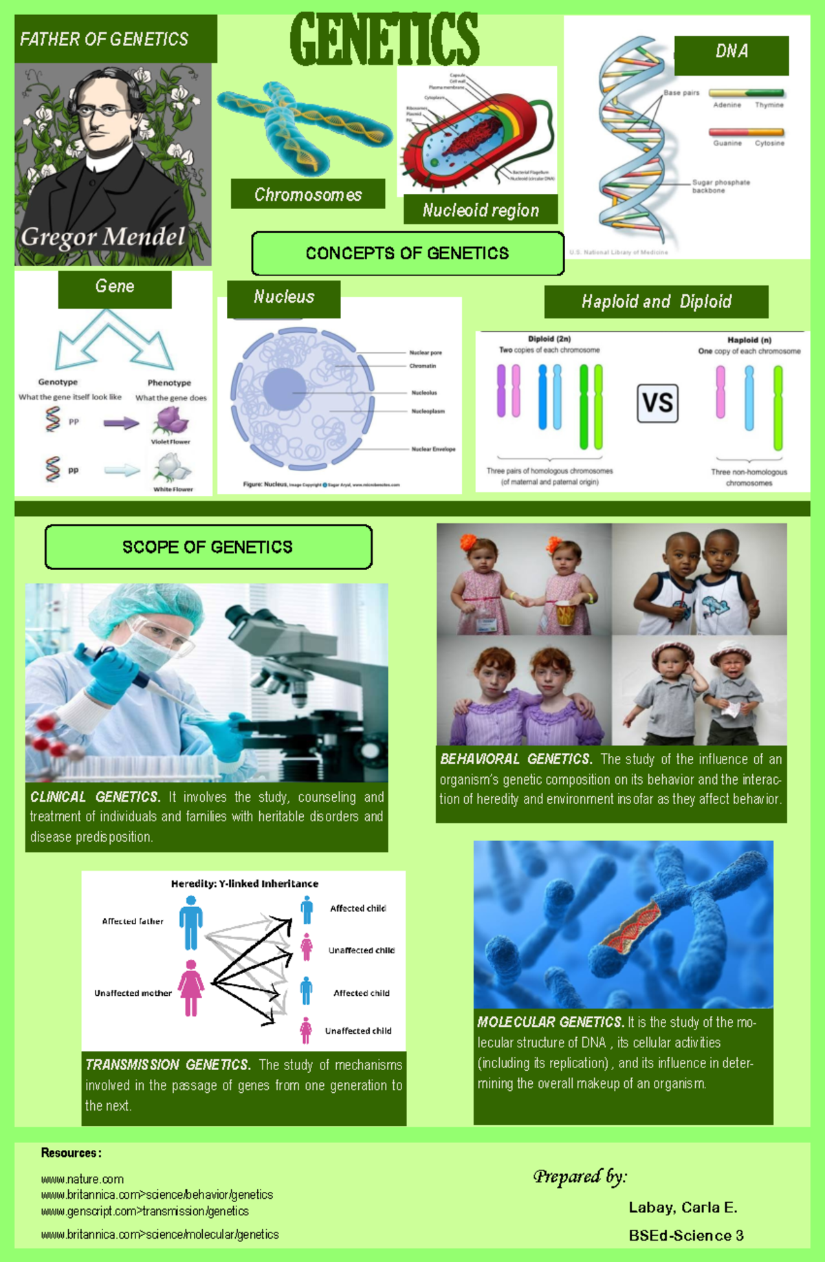 Labay, Carla E. Infographics - DNA CLINICAL GENETICS. It involves the ...