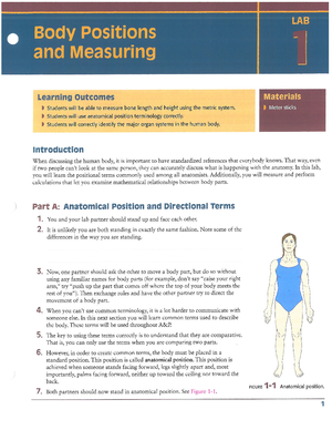 NUR 302 Acevedo-Monday - LEHMAN COLLEGE DEPARTMENT OF NURSING ...