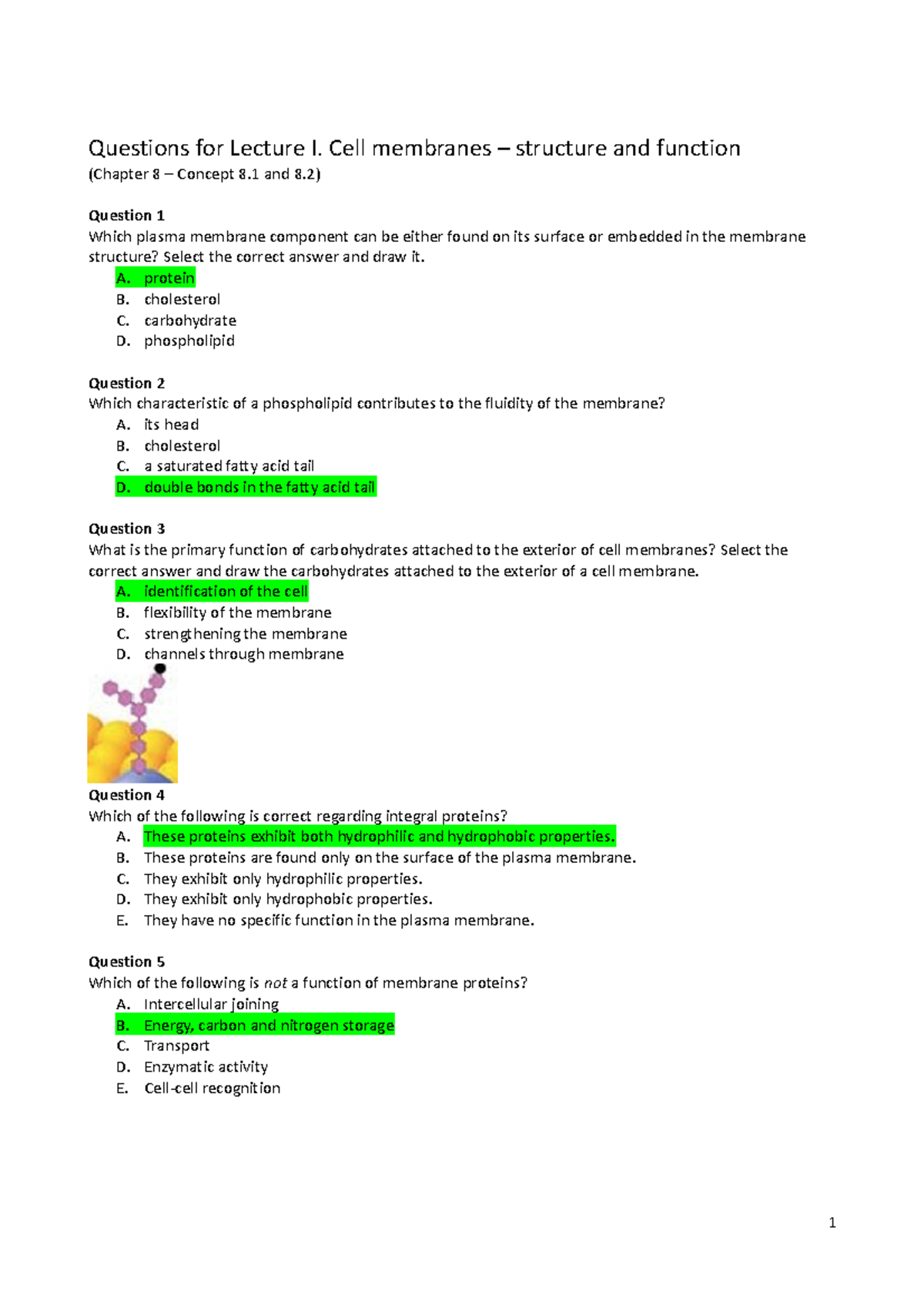 Questions For Lecture I Ques琀椀ons For Lecture I Cell Membranes