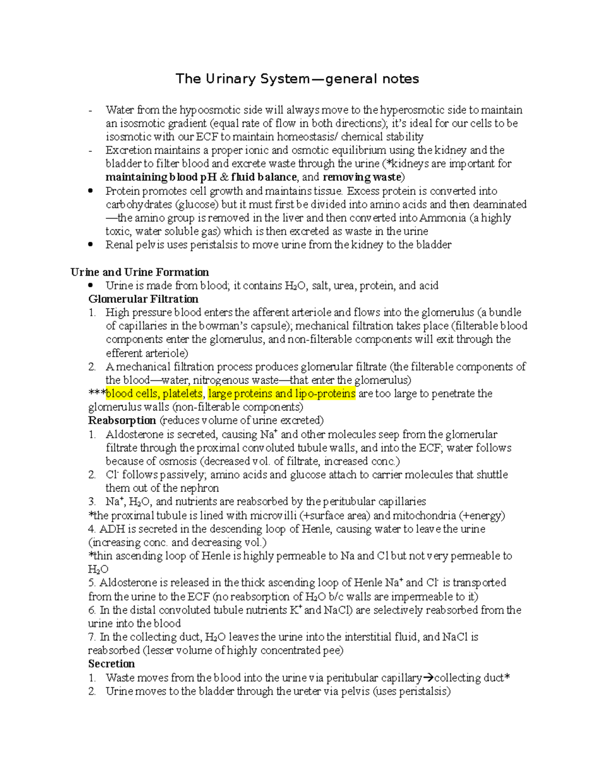 Urinary System and Urine Formation - Studocu