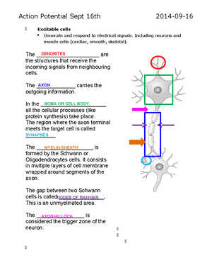 Module 14 Reproductive System - Physiology 1020 - UWO - Studocu