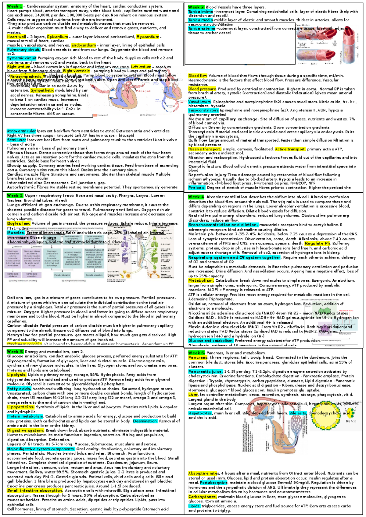 Biomed cheat sheet - Week 2. Blood Vessels have three layers. Tunica ...