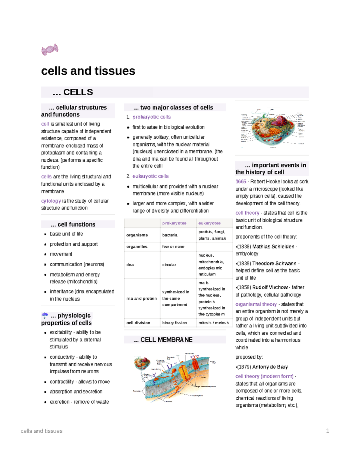 Cells and tissues - cells and tissues ☂ ... CELLS = ... cellular ...