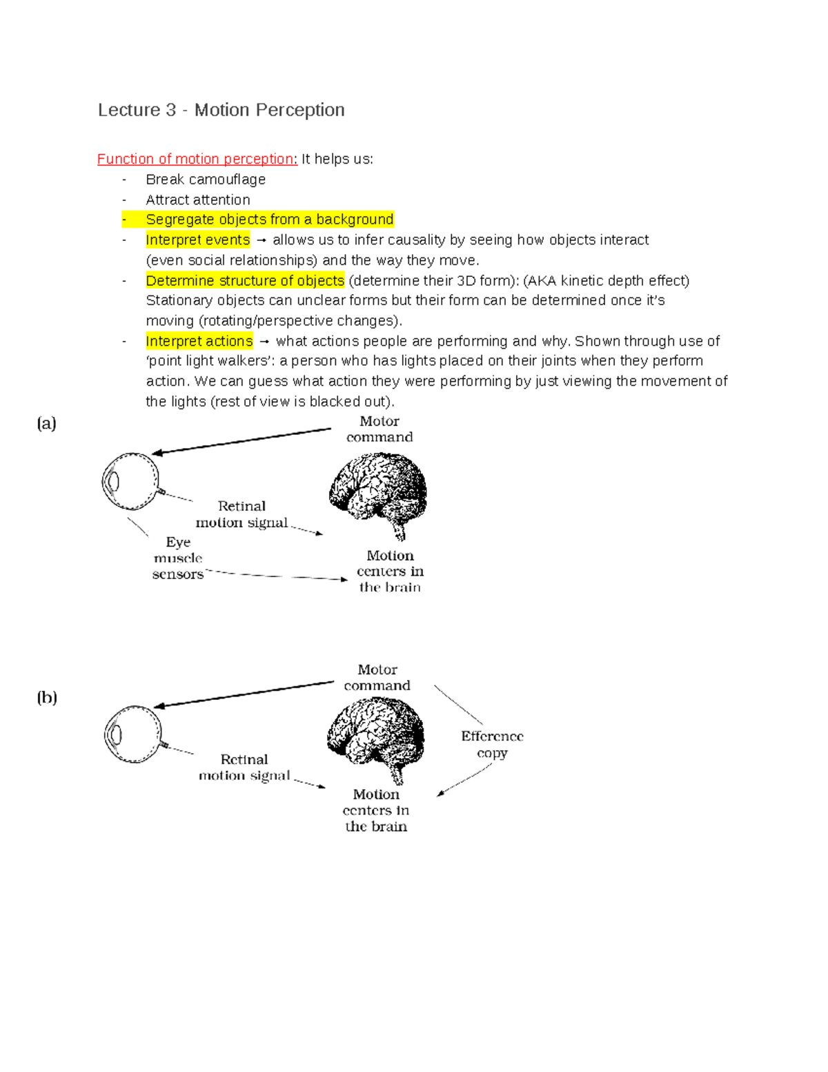 Lecture 3-4 - Lecture 3 - Motion Perception Function of motion ...