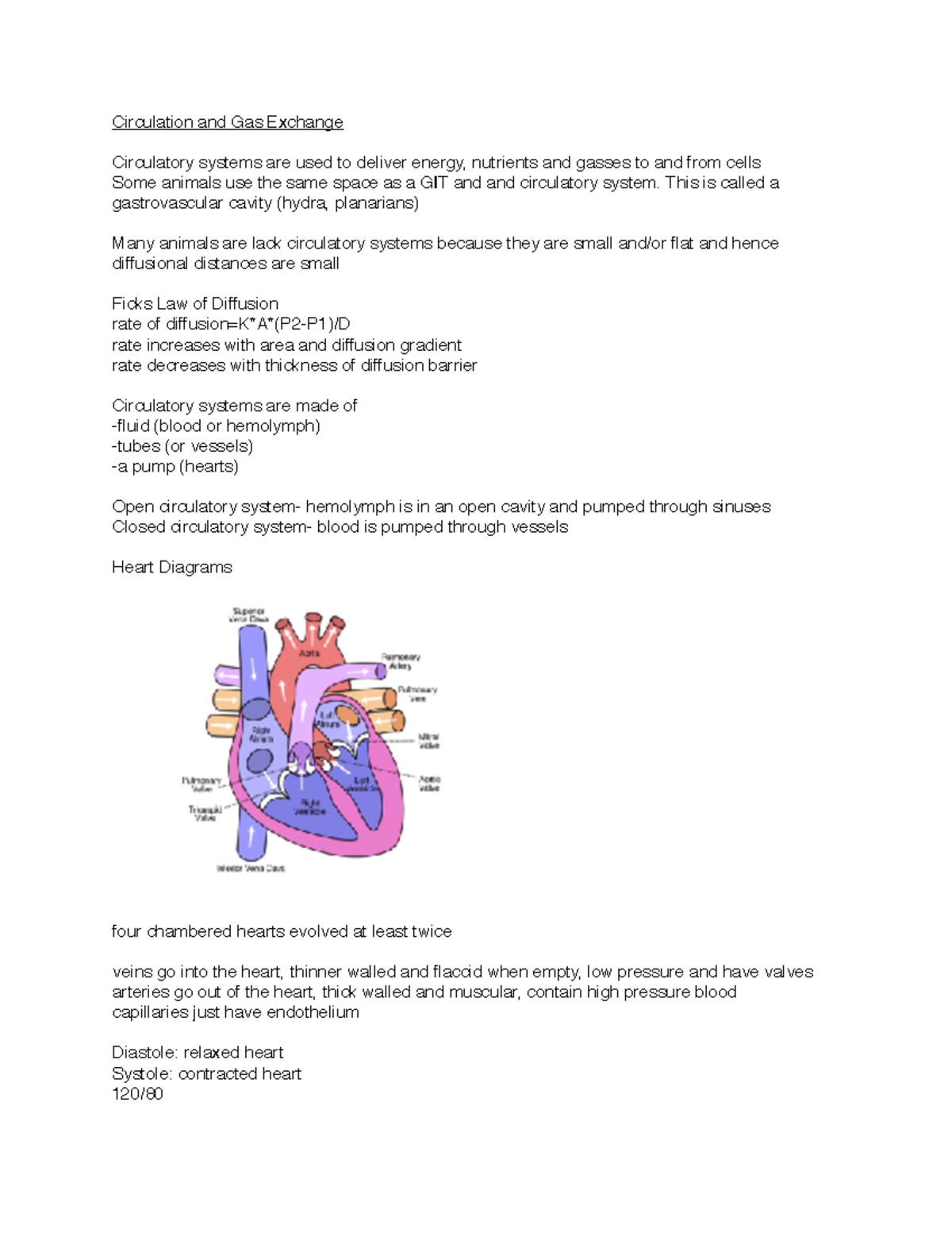 Review: Circulation and Gas Exchange - Circulation and Gas Exchange ...