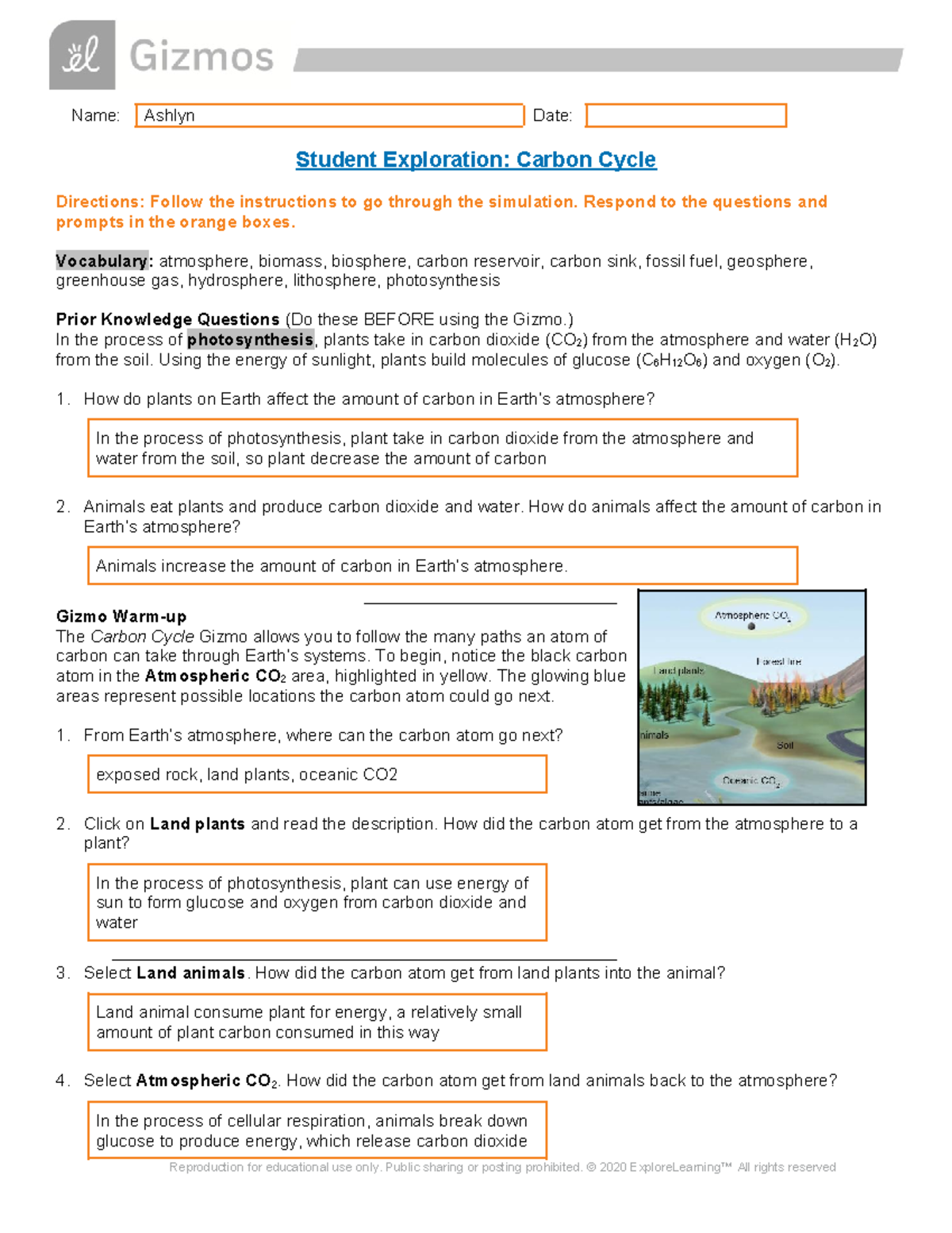 Carbon Cycle SE - none - Name: Ashlyn Date: Student Exploration: Carbon ...