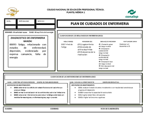 Historia natural de la enfermedad placenta - Salud ( Prepatogenesis ...