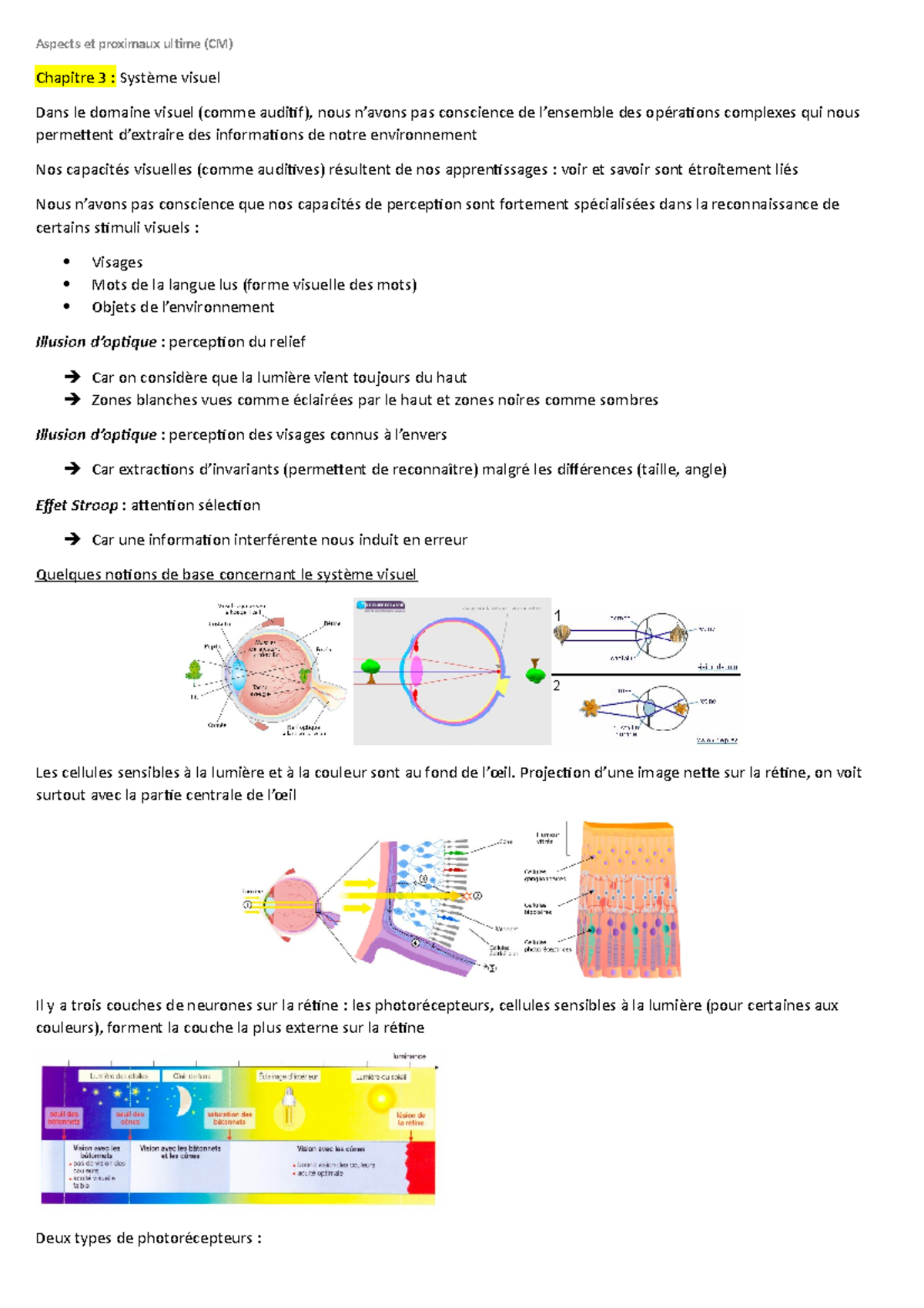Chapitre 3 - Système visuel - Aspects et proximaux ultime (CM) Chapitre ...