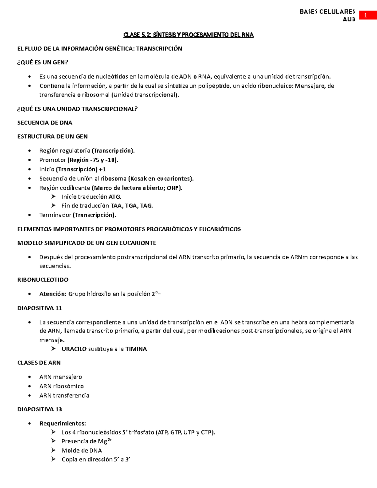 Sintesis y Procesamiento del RNA - 1 AU CLASE 5: SÍNTESIS Y ...