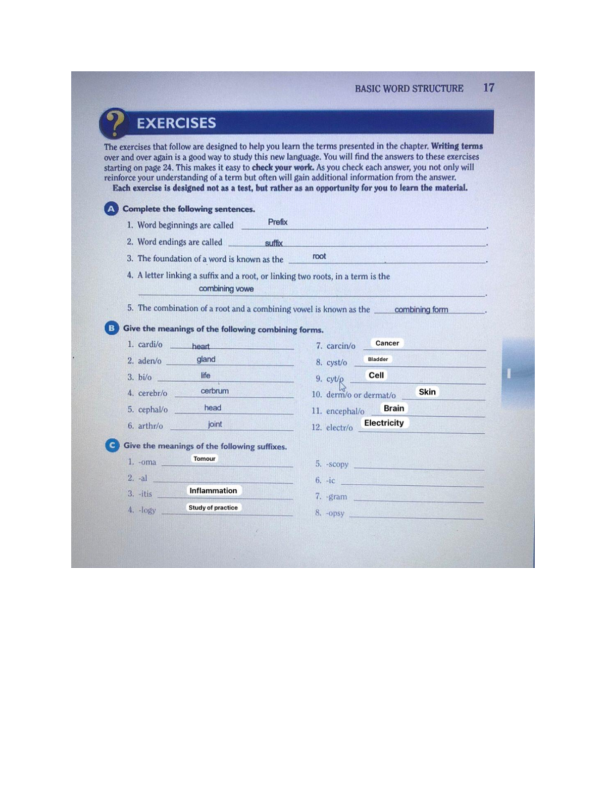 Doc3 - ,,,, - ? EXERCISES The exercises that follow are designed to help you learn the terms ...