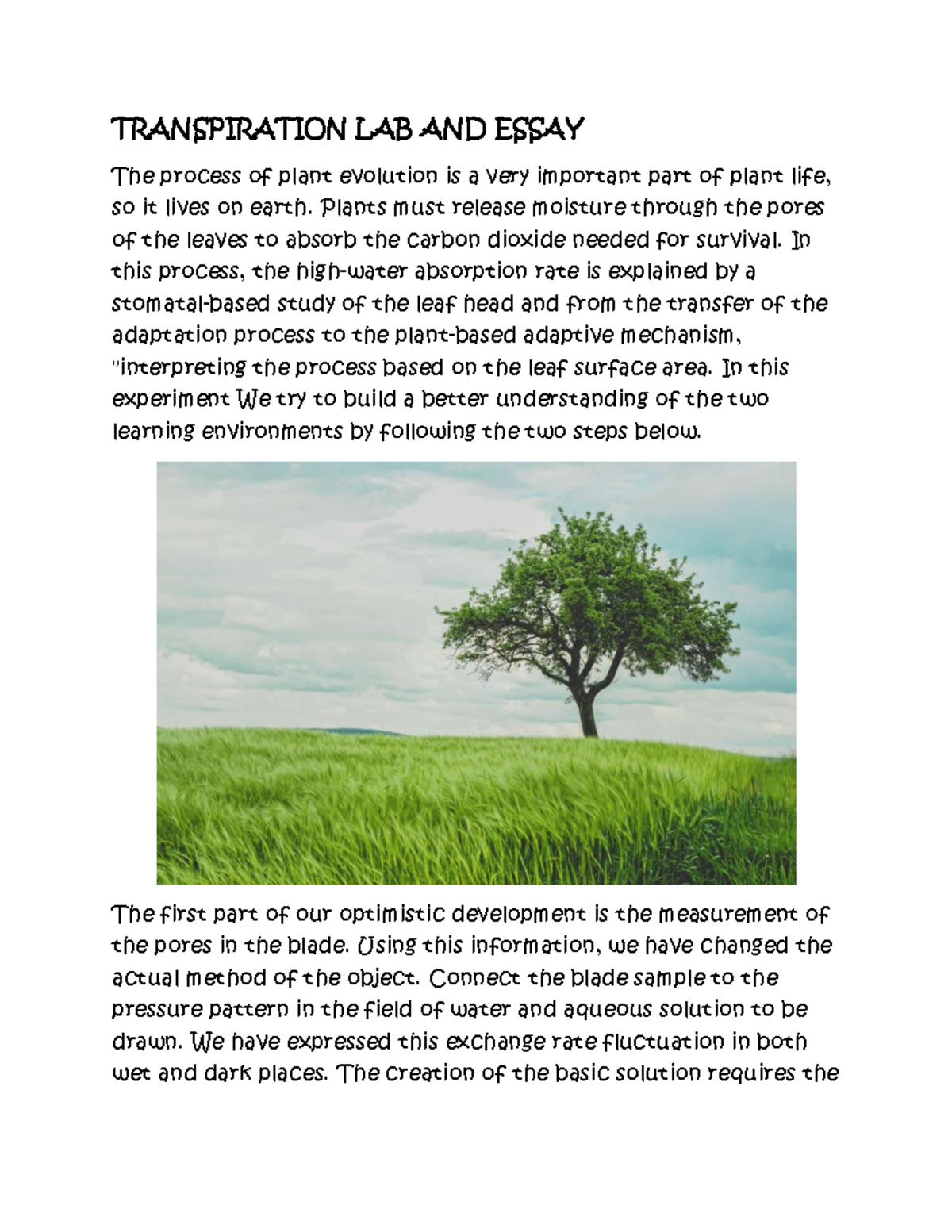 Biology Transpiration LAB AND Essay - TRANSPIRATION LAB AND ESSAY The ...