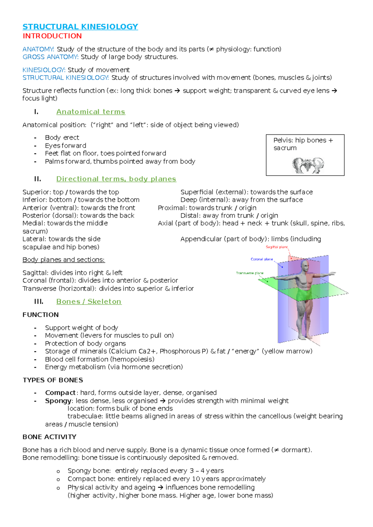 Structural Kinesiology - Everything you need to know for exams ...