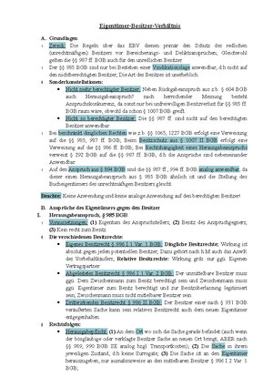Schutz des Besitzers - Sonstiger Besitzschutz Deliktsrechtliche ...