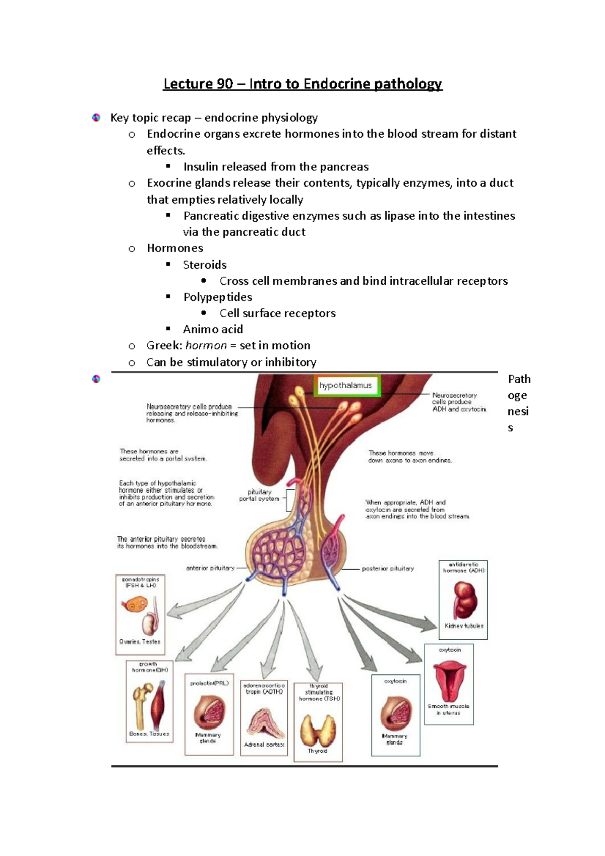 Intro to Endocrine Pathology: Key Topics Recap - Studocu