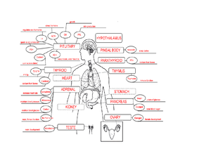 Chapter 1 - Anatomy and Physiology lecture notes - Chapter 1 Anatomy ...
