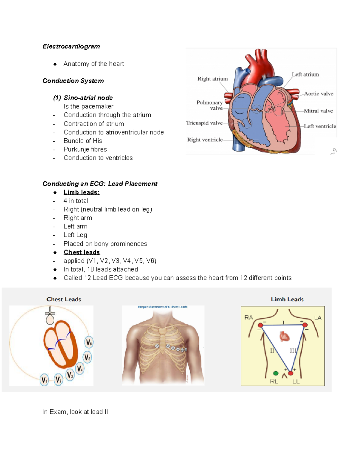 ECG and Investigations in medicine - Electrocardiogram Anatomy of the ...