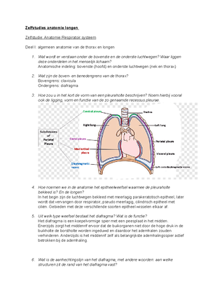 Anatomie en fysiologie samenvatting - Anatomie & (patho)fysiologie A ...