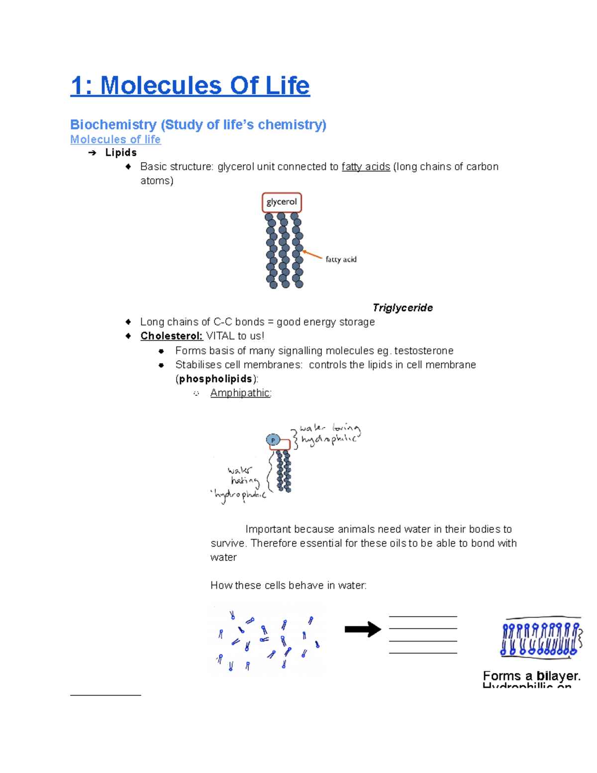 Bio Bytes Notes - 1: Molecules Of Life Biochemistry (Study of life’s ...