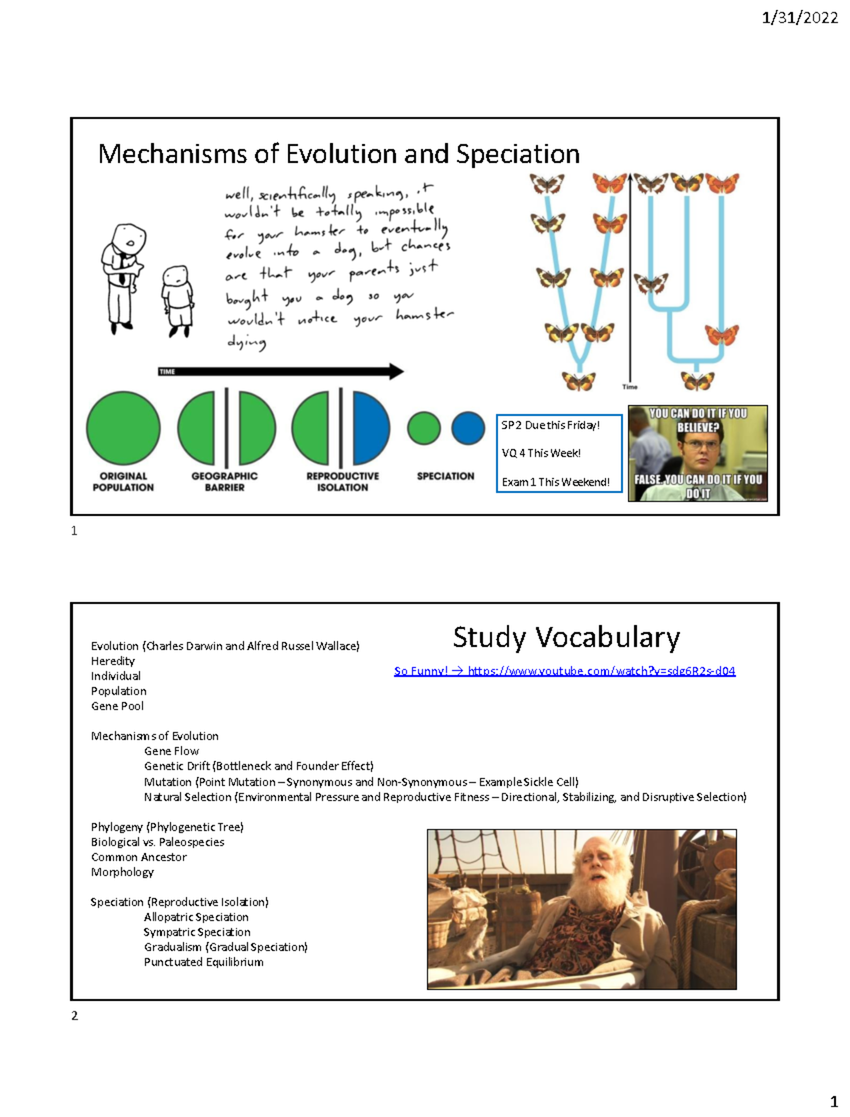 Lecture 4 Week 4 Mechanisms of Evolution and Speciation(2) - 1/31 ...
