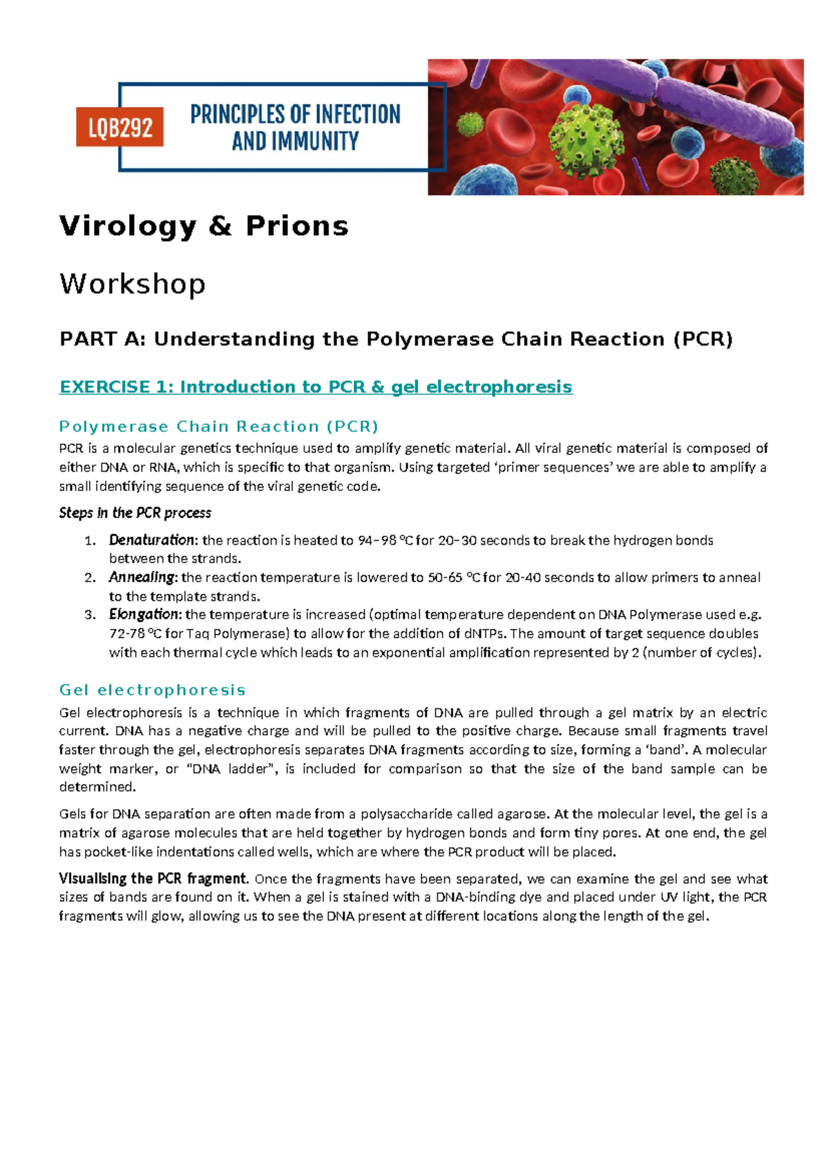 Virology and Prions Worksheet - Virology & Prions Workshop PART A ...