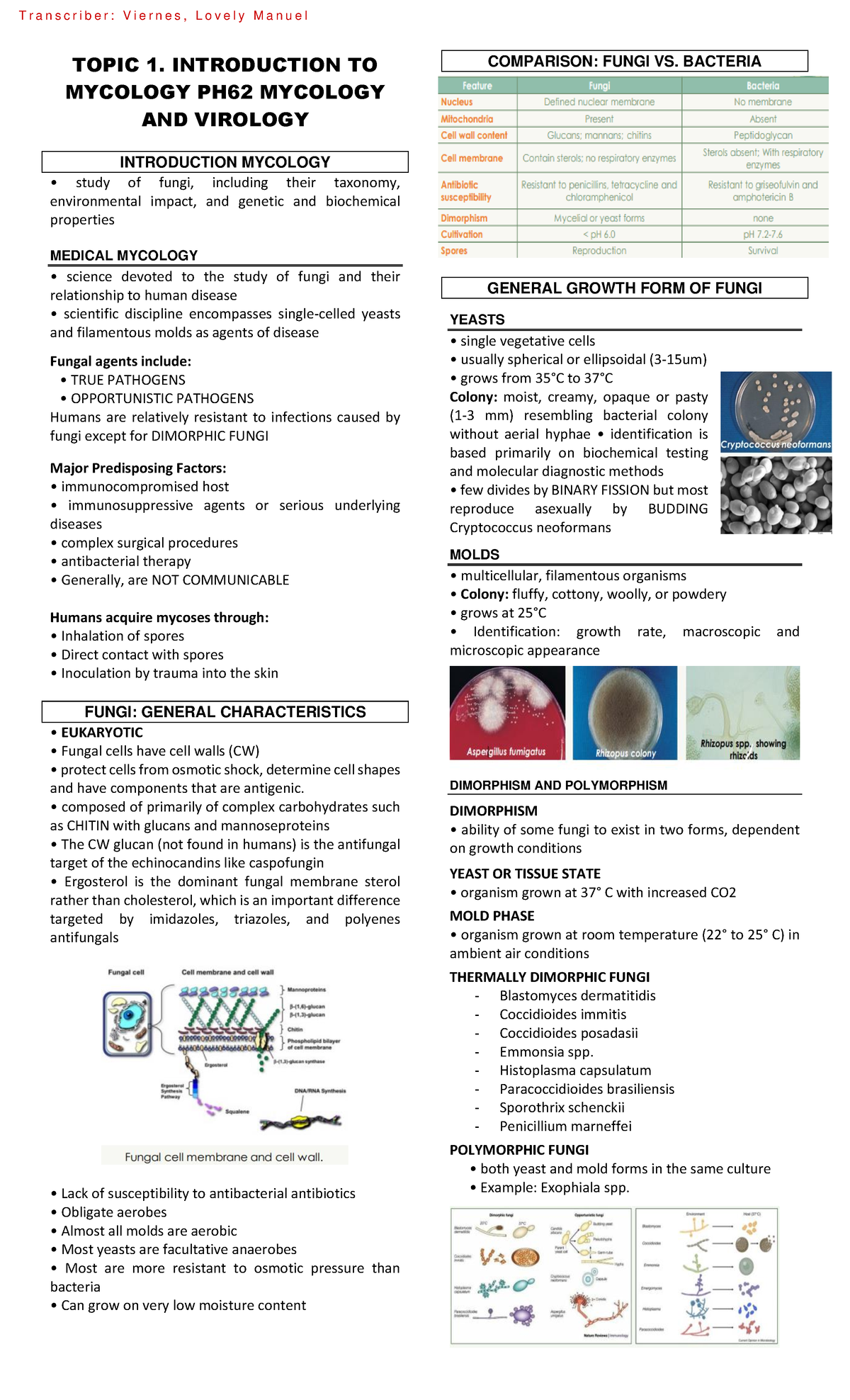 Mycology- Topics 123 - TOPIC 1. INTRODUCTION TO MYCOLOGY PH62 MYCOLOGY ...