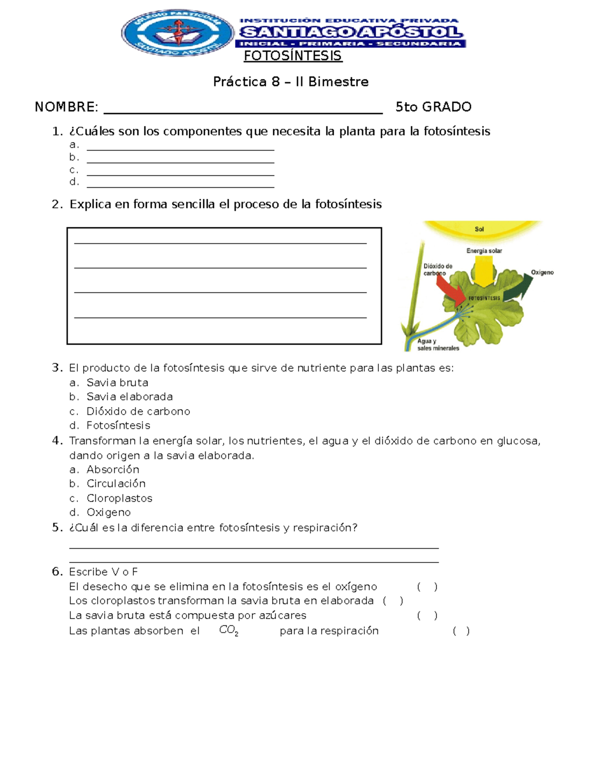 Fotosintesis - trabajo bien hecho - FOTOSÍNTESIS Práctica 8 – II ...