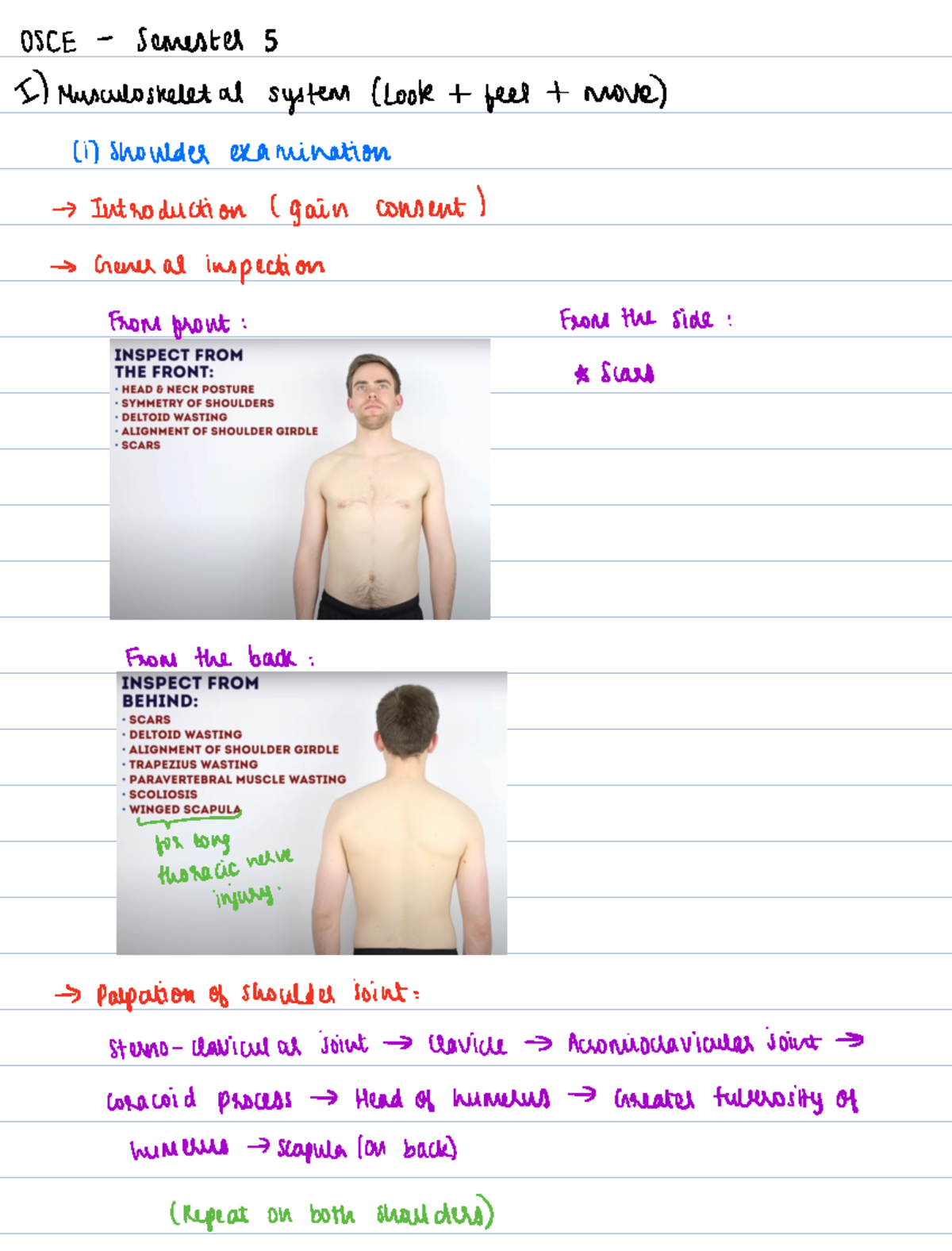 OSCE notes MSK - OSCE semester 5 I Musculoskeletal system Look feel ...