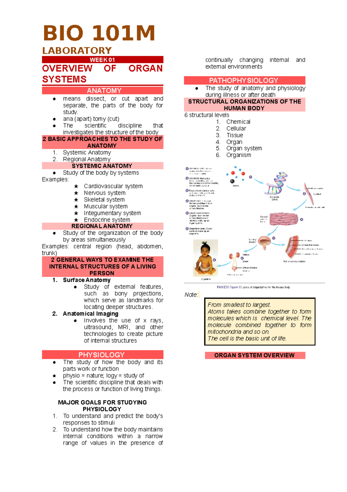 BIO LAB - 1ST YEAR - LABORATORY WEEK 01 OVERVIEW OF ORGAN SYSTEMS ...