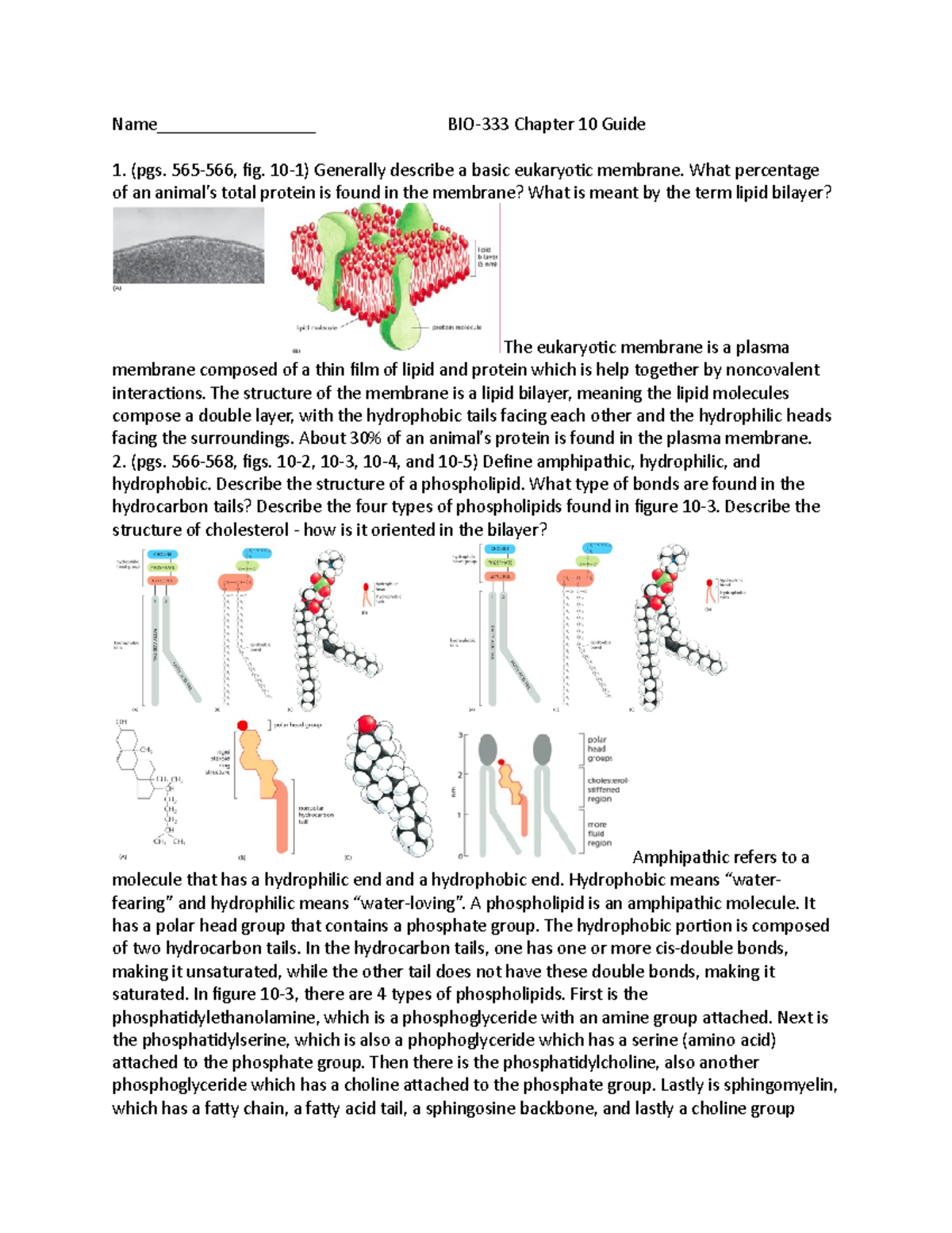 BIO-333 Chapter 10 Guide Spring 2022 - Name_________________ BIO-333 ...