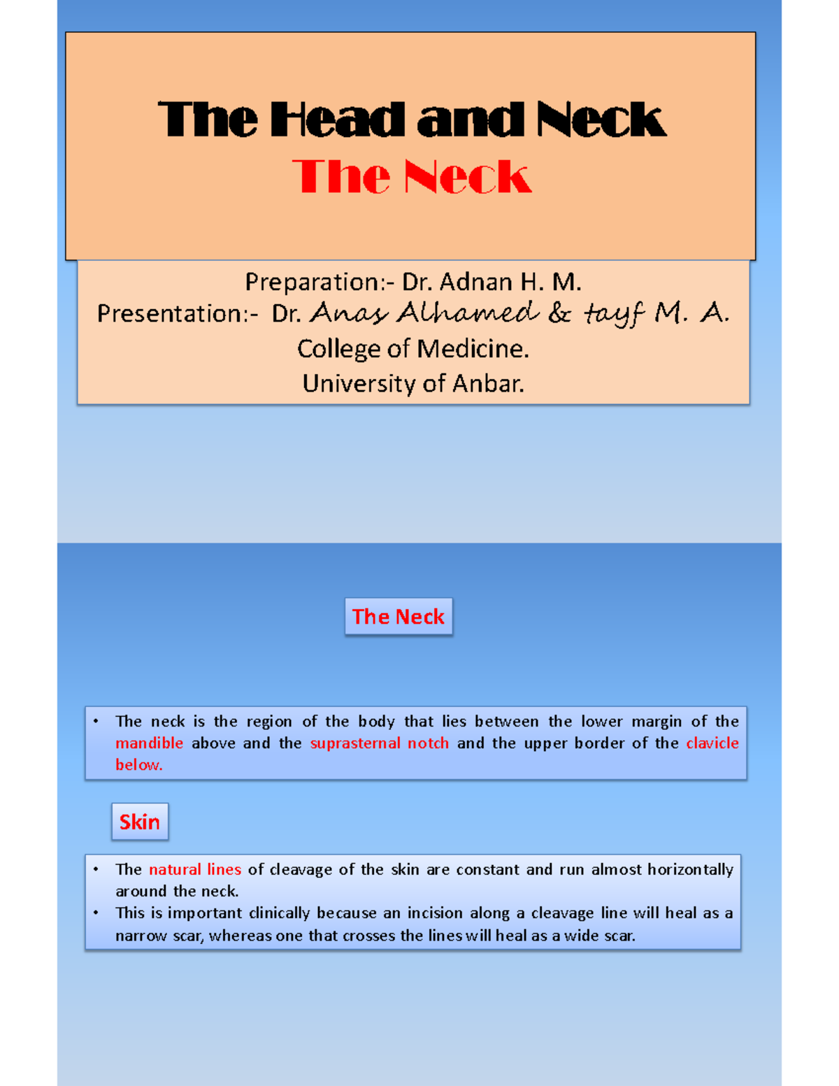 The Head and Neck The Neck - The Head and Neck The Neck Preparation ...