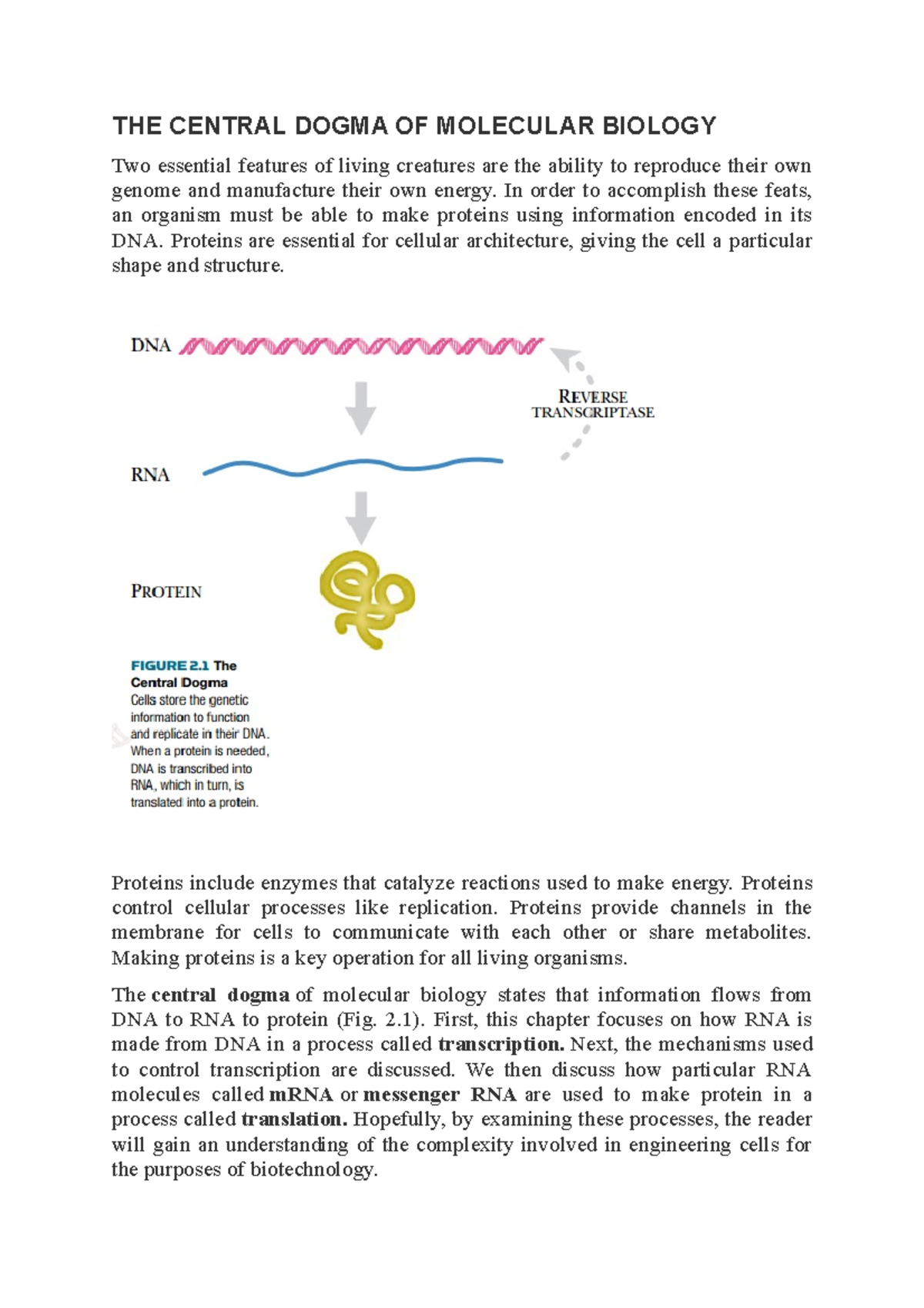 THE Central Dogma OF Molecular Biology - THE CENTRAL DOGMA OF MOLECULAR ...