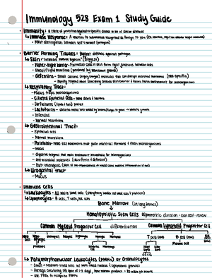 Exam 2 Study Guide - MHCbinding ####### TORrecognize bothMHC peptide ...